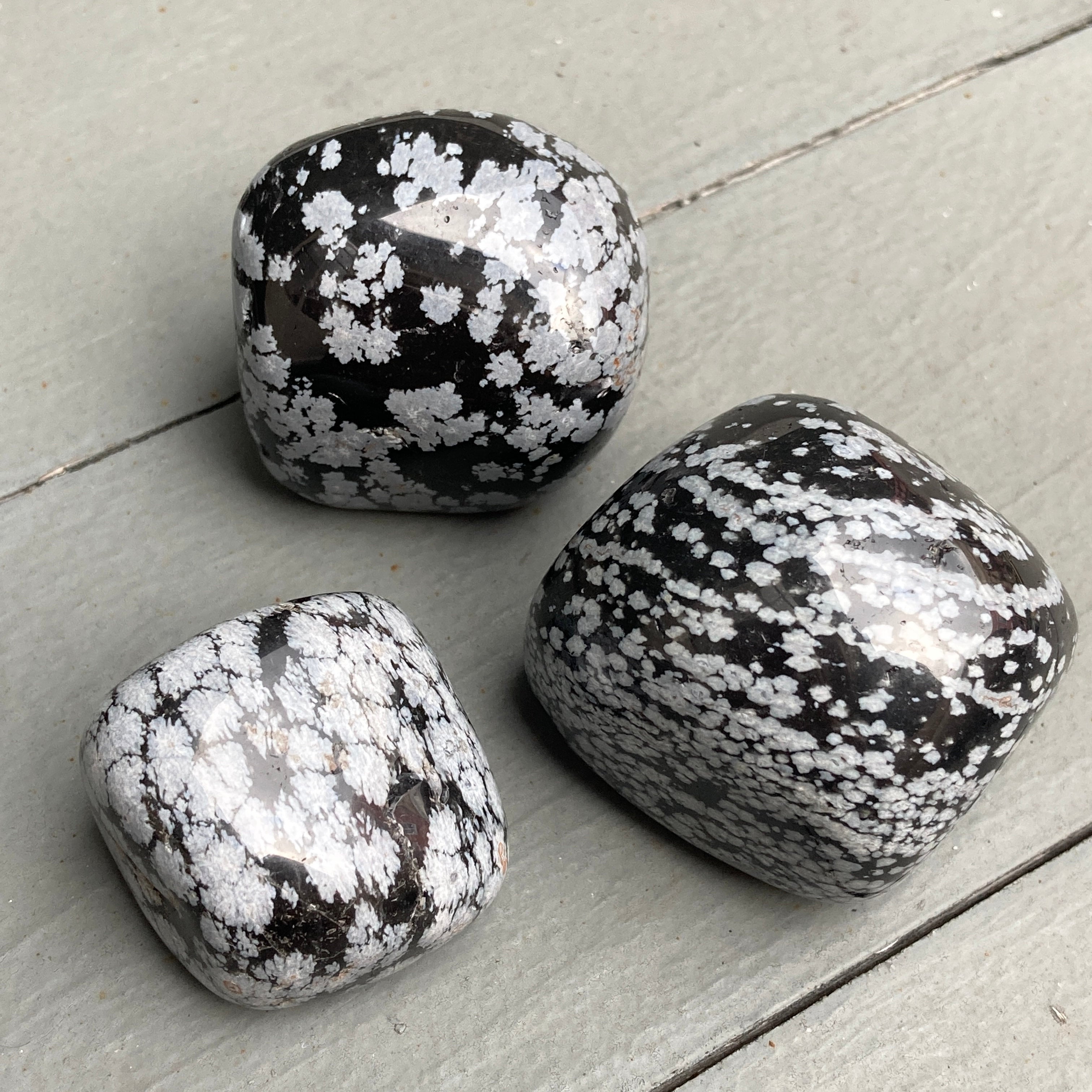 Snowflake Obsidian Premium Tumbled Stones | Earth Odyssey
